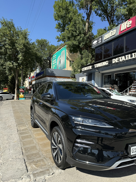 BYD chempion 605km full