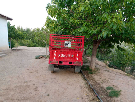Xunjie sotiladi xolati zoʻr