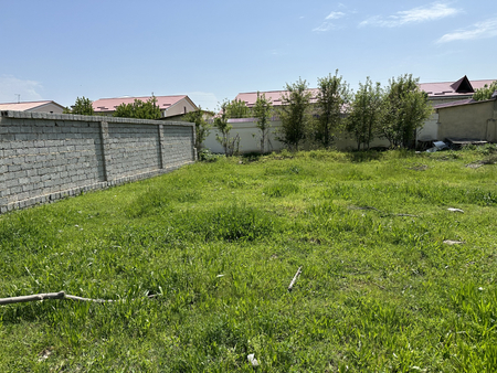 Ер сотилади 6 сотих Минервасити тугрисида сотихи 15000 дан