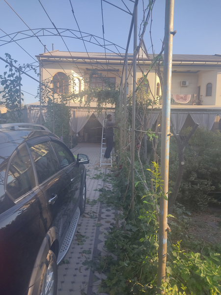 Uzumlarni xomtok qilaman