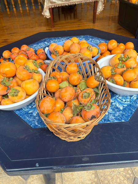 Hurmashokolad 8 000sum - 1 kg, fruktu