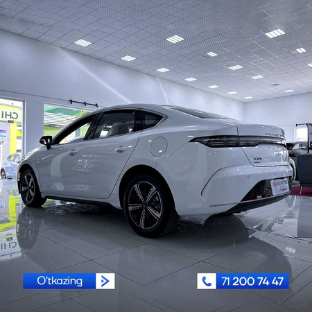 BYD Chazor gibrit