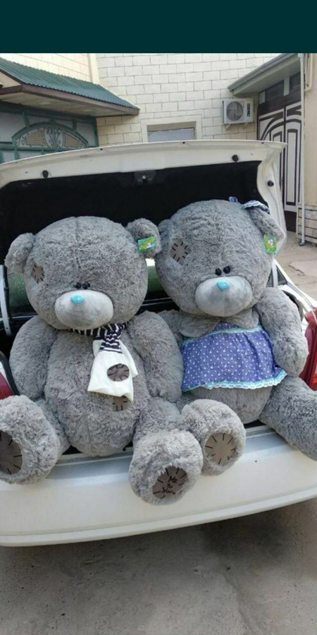 Teddy va yumshoq oʻyinchoqlar