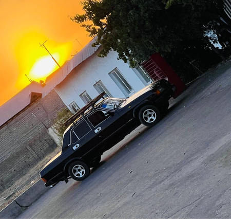 Волга 31029