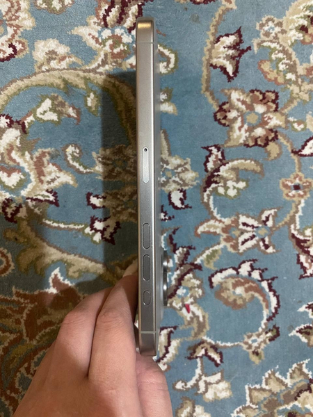 15 Pro Max 256GB