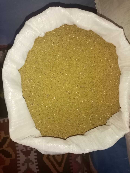 Beda urugʻi toza