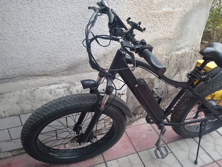 Velik gibrit tokli