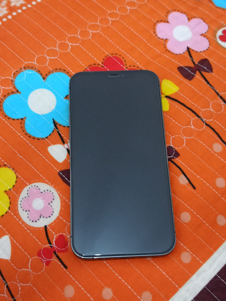 iPhone 12 Pro Max LLA 256gb ((2 imei))