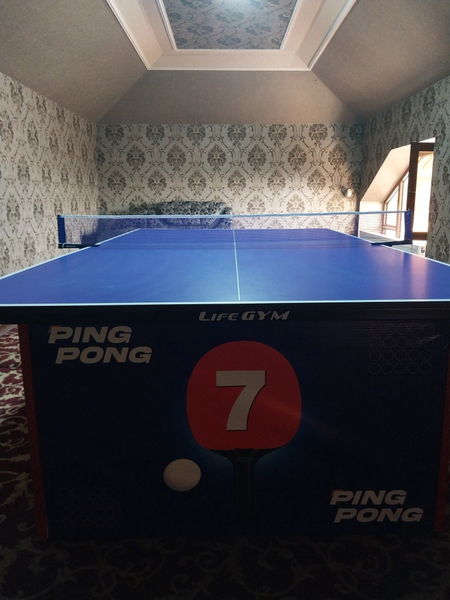 Stol tennis zavodskoy V-5 T4018 MDF