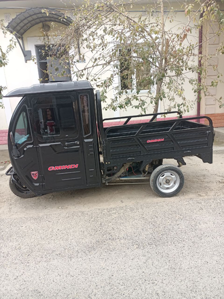 Elektro muravey GM