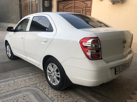 Arenda Cobalt 2023
