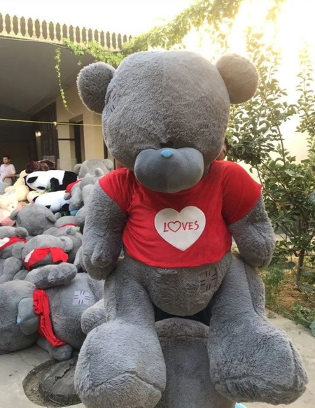 Teddy Тедди  Yumshoq oyinchoqlar