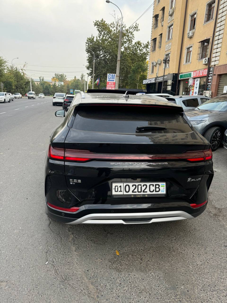Byd Chenpion Full 605