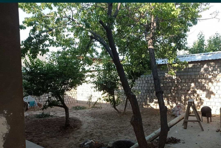 Yango qurilvan uchastka arendaga bediladi