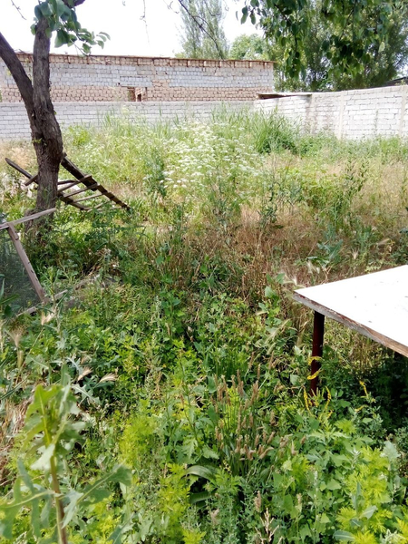 Уй сотлад 6 сўтх