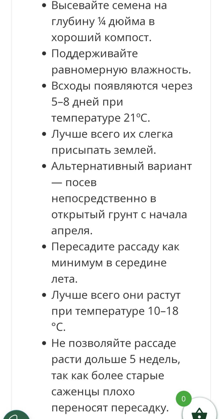 Итальянская цветная капуста Романеско Оттобрино