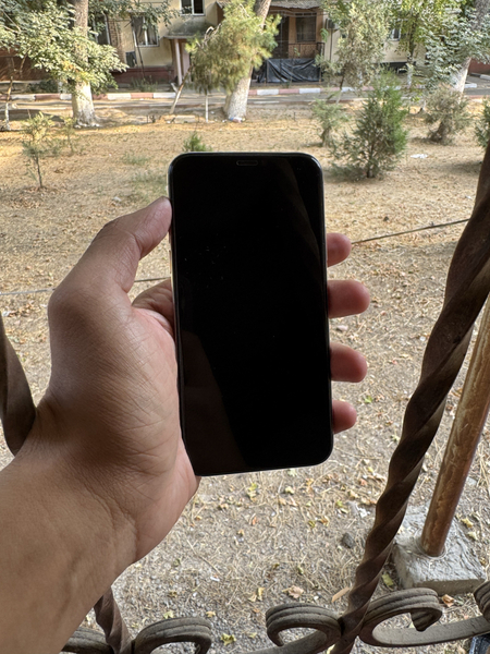 iPhone X 64Gb 100%