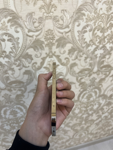 I phone 12 pro gold ideal