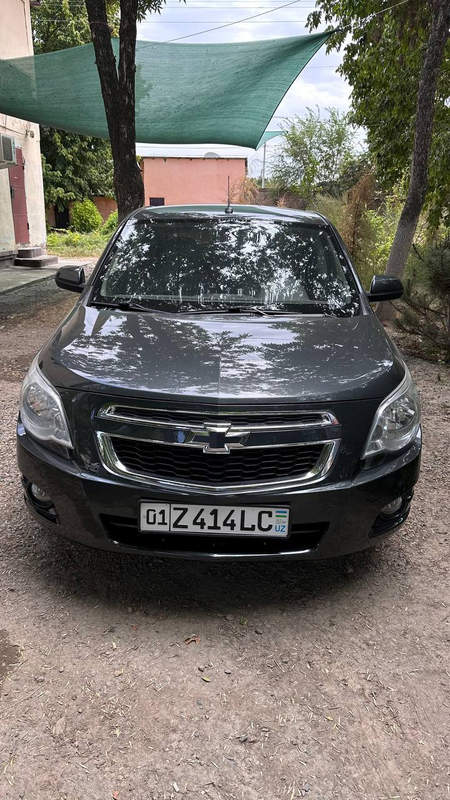 Kobilt avtomat arenda s vikipom
