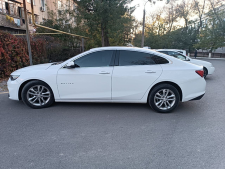 Malibu 2 oq 2018