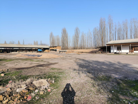 Продается участок 55 соток в Юкоричирчикском р-не, Янгибазар