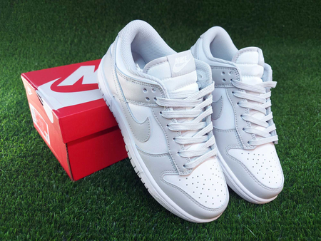 Nike Dunk Low Retro Grey Fog