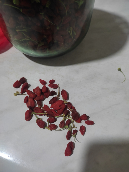 Гожи goji mevalari