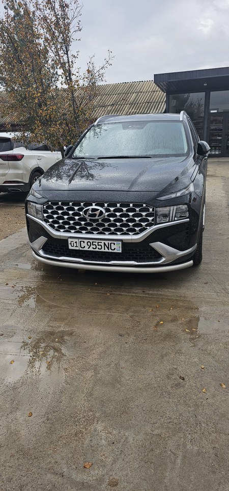 Hyundai Santa fe 2022 yil 132000 km yurgan 1-pozitsya