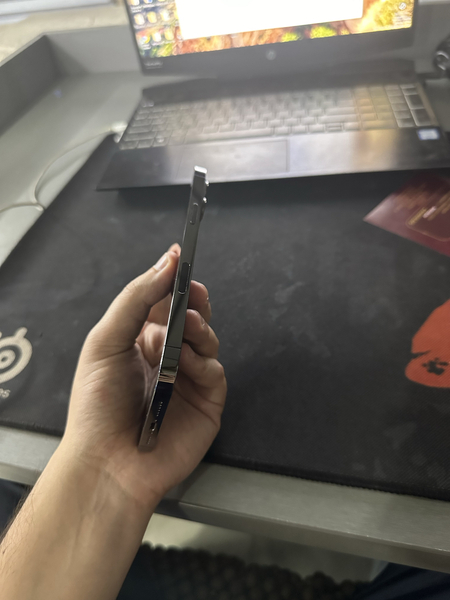 iPhone 12 Pro Max 256 Gb