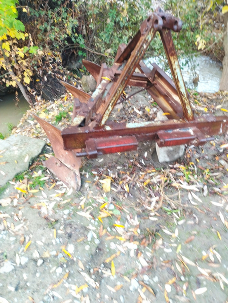 Pulik sotiladi sirochni