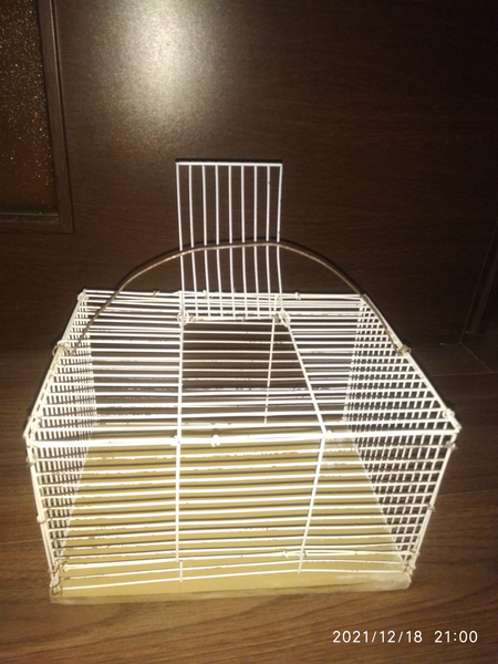Клетки разных размеров