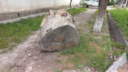 Тунка утин кунда