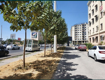 Uy 4 xonalik 135m²