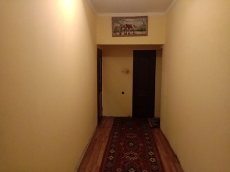 Алгоритм 31 квартал.    4/8/9