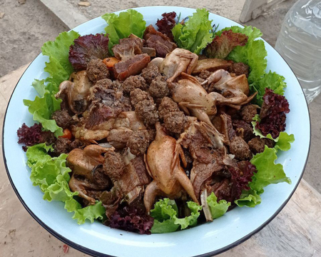 Zakaz olamiz ovqat salatla somsa julenla qovirqoqla.