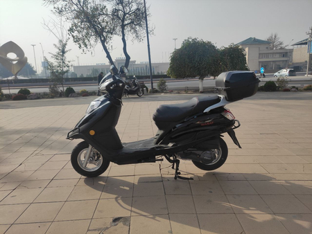 Wasat Sport Samurai
