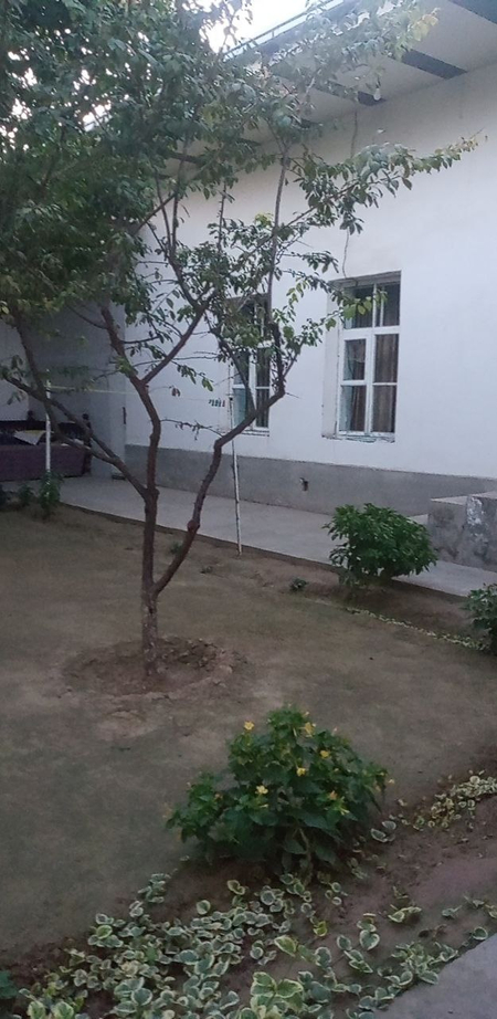 Nazarbek kotta ittifoqda uy sotiladi yo'l yuzida
