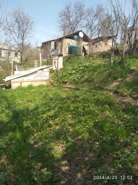 Продам дом в чимгане