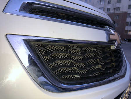Зашитная сетка для радиатора киа Jetour Kia Byd