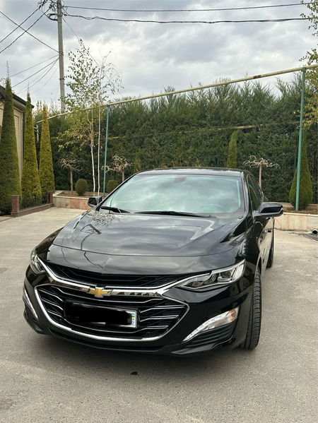 Malibu 2 Premier