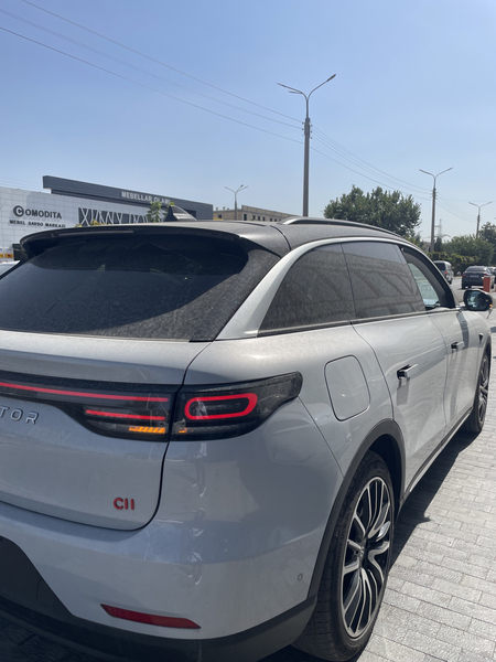 Leapmotor C11 Dual Motor 550km Full