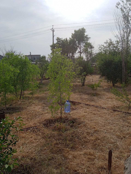 Продаётся дача участок Акмал Икрамов dacha sotiladi kadastr bor.