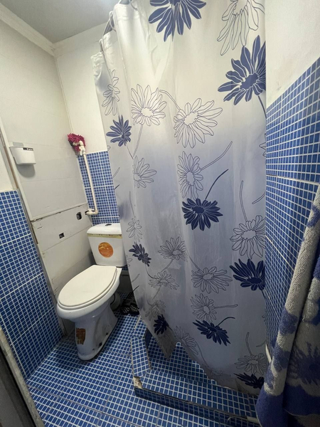 1/5/5 Чимган ЭКО базар