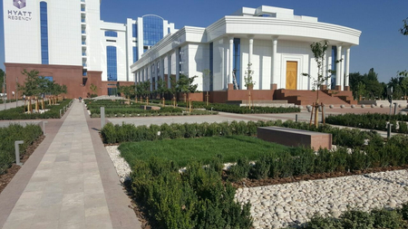 Продажа газонов и ландшафтный дизайн