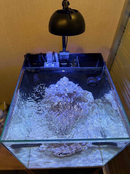 Морской аквариум | Morskoy akvarium | Dengiz akvariumi | Корал