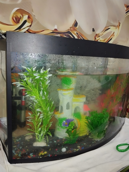 Akvarium sotiladi (komplekt)