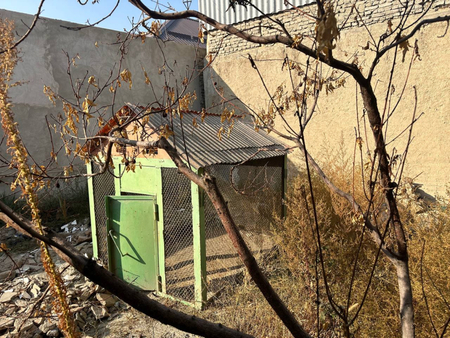 Револьвер для собак