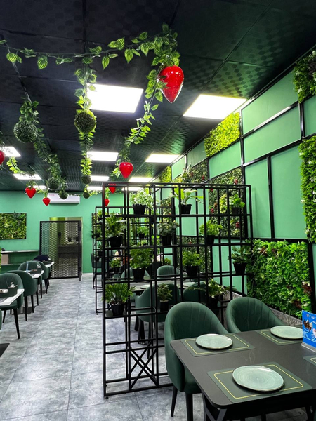 Kafe uchun tayyor biznes