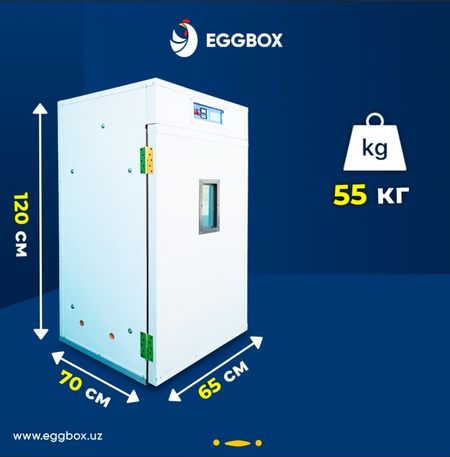 Inkubator Egg box 350