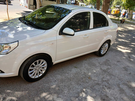Neksiya 3 2020 2 pazitsa